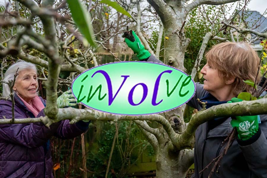 Mid Devon Together - Devon Connect